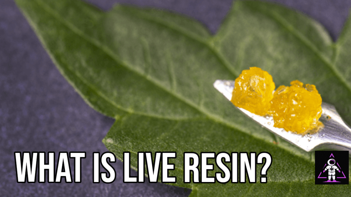 What is Live Resin? » My Delta Eight