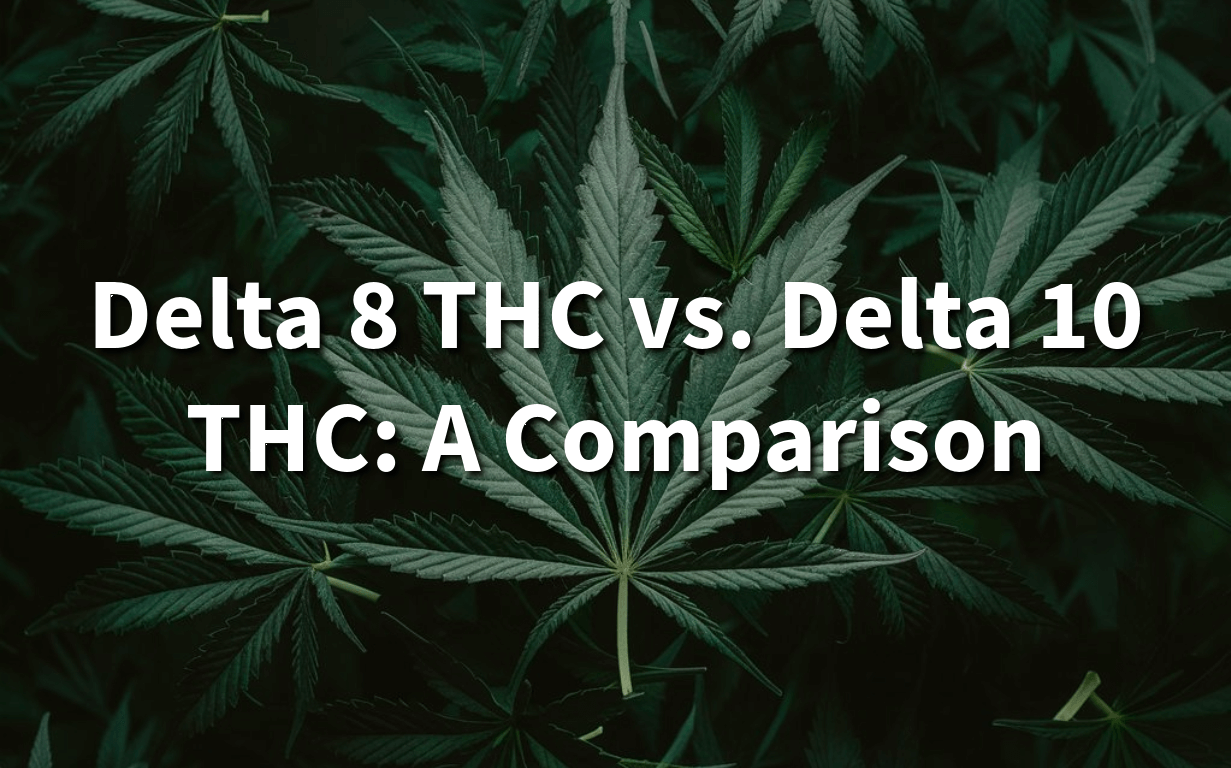 Delta 8 THC vs. Delta 10 THC: A Comparison » My Delta Eight